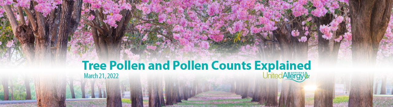 Tree Pollen and Pollen Counts Explained - United Allergy Services